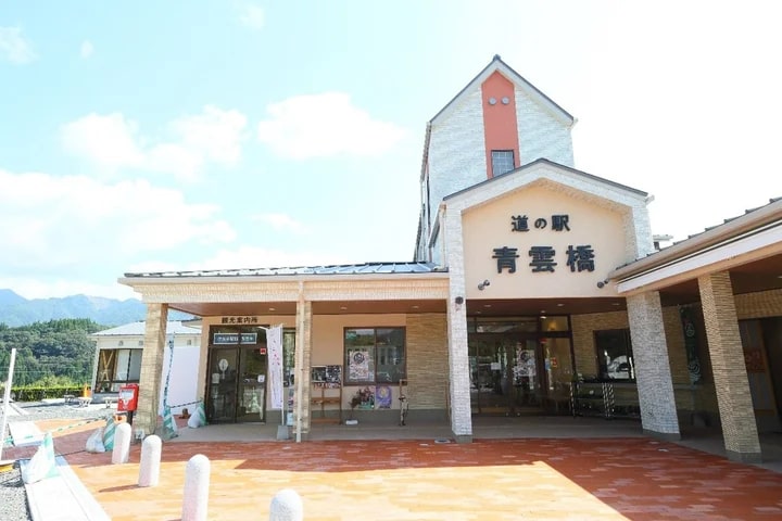 テラチャージ、宮崎県日之影町の道の駅「青雲橋」にEV用急速充電器を設置へ (2024年9月25日) - エキサイトニュース