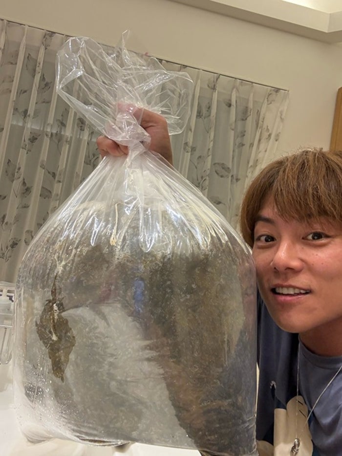 杉浦太陽「凄まじい量」沖縄の友人から20kg送られてきたもの「味見したら、激うま」 (2025年6月23日) - エキサイトニュース