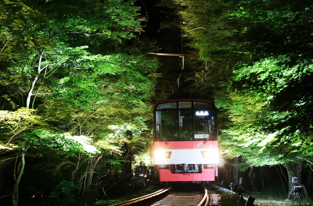 ～夜の京都を楽しむ。もみじのトンネルを抜けて貴船・鞍馬へ～「青もみじのライトアップ」を実施します - エキサイトニュース