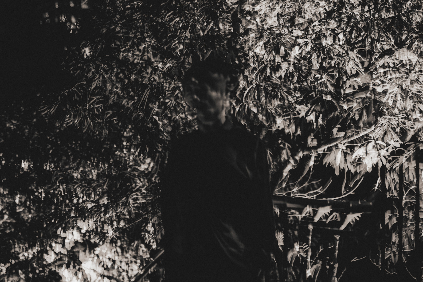 Corneliusが語る、いま「諸行無常」と歌うのは。誕生と消滅、切れ目なく続く毎日、残された時間 (2023年6月28日) - エキサイトニュース