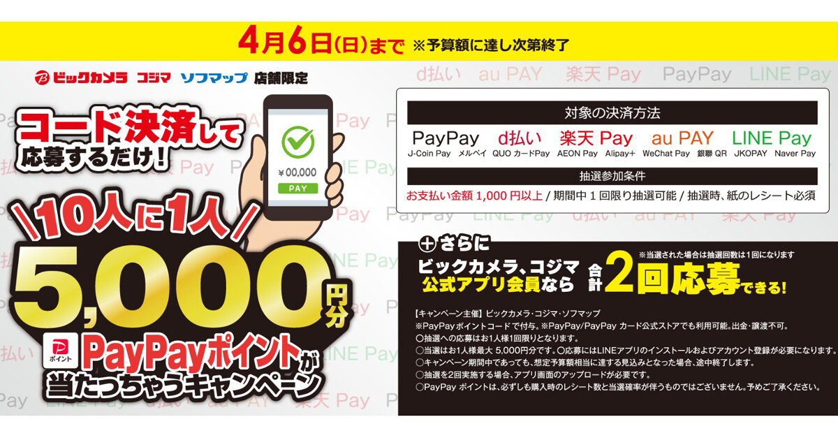ビックカメラ、10人に1人5,000円分のPayPayポイントが当たるキャンペーン (2025年2月22日) - エキサイトニュース