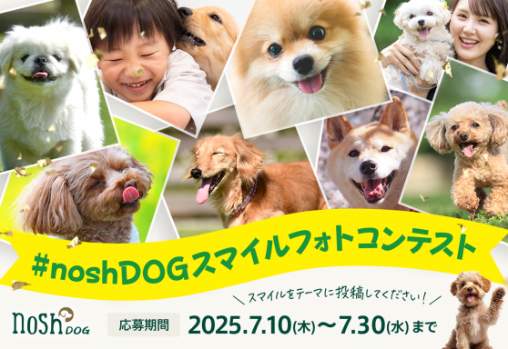 【nosh DOG】ワンちゃんの笑顔の写真を募集！公式SNSで「スマイルフォトコンテスト」を初開催 (2025年7月10日) - エキサイトニュース