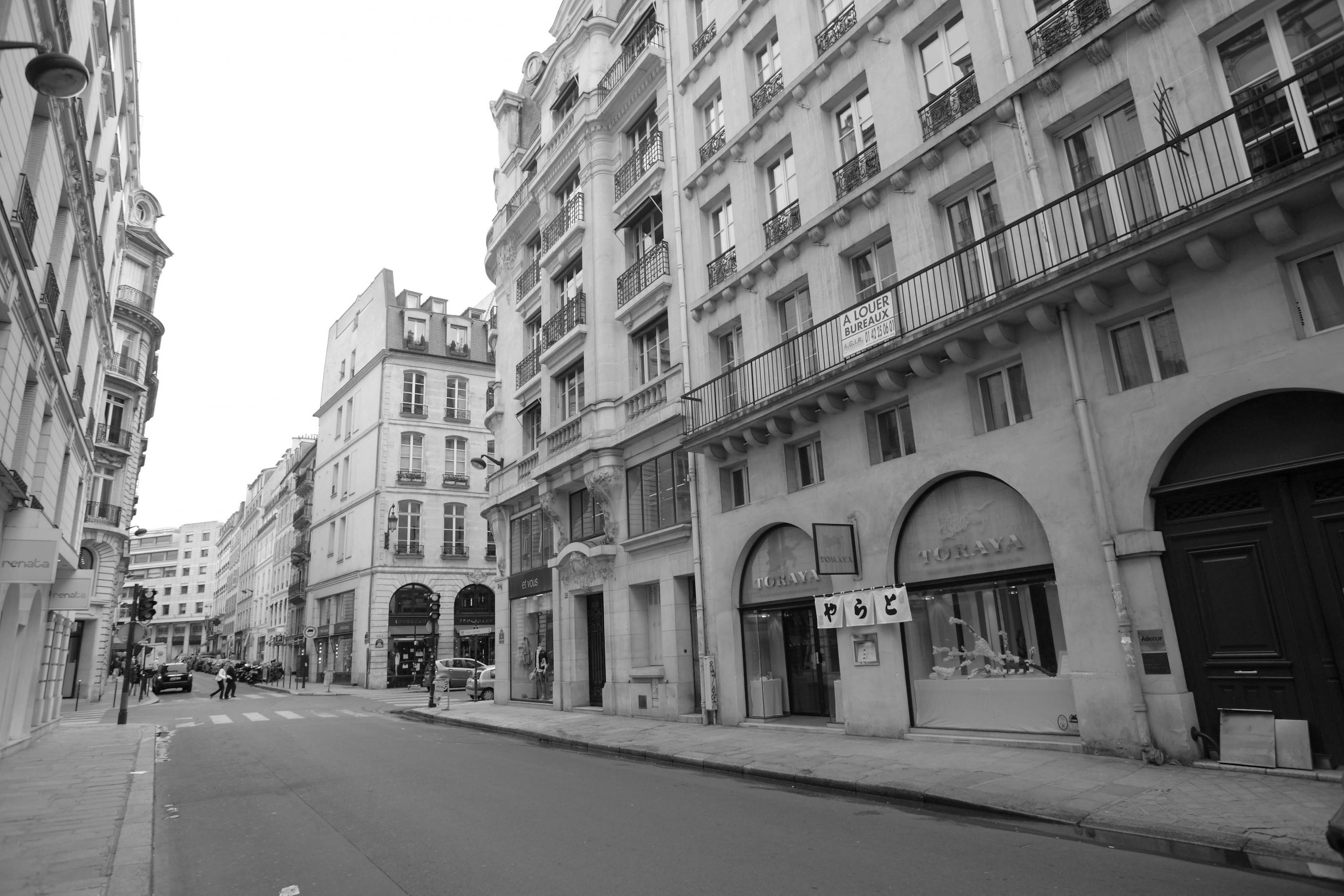 企画展「和菓子が出会ったパリ」を、虎屋 赤坂ギャラリーにて開催 (2025年5月22日) - エキサイトニュース