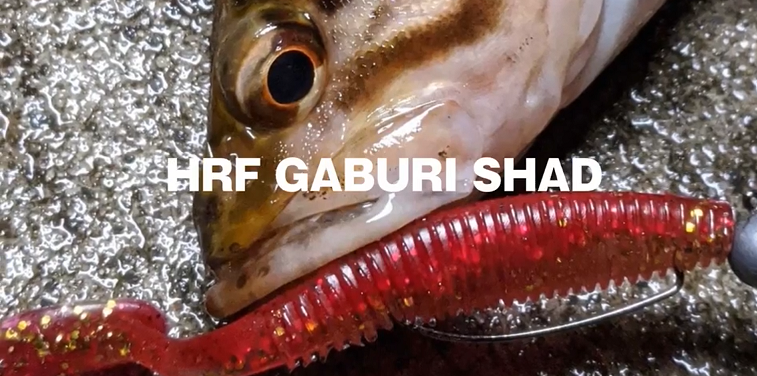 HRFガブリシャッドでロックフィッシュを釣り上げたい！実釣インプレ特集 (2022年12月25日) - エキサイトニュース