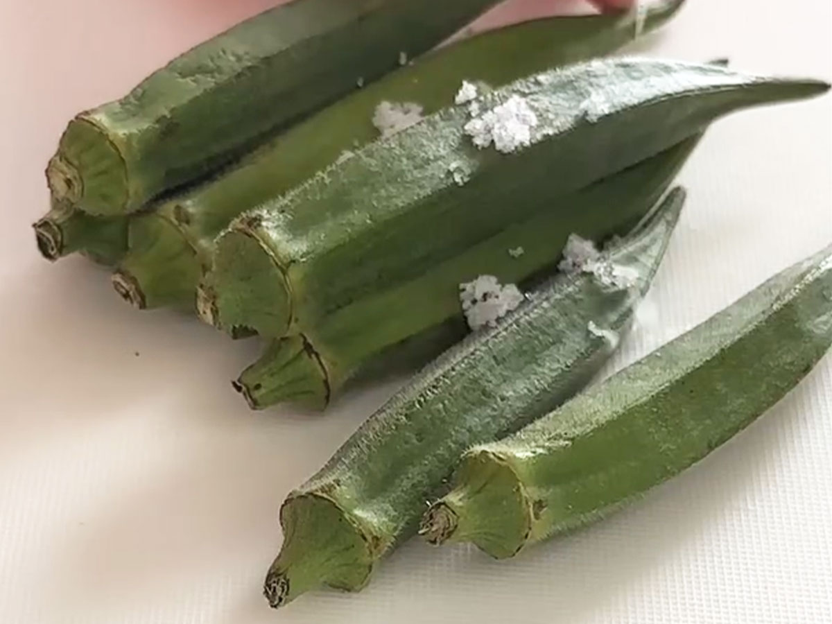 ポン酢だけじゃない！ オクラの新しい『食べ方』に「明日作ります」「オクラ買いに行かなきゃ」 (2025年7月4日) - エキサイトニュース