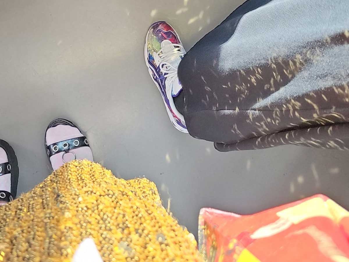 電車で自分の周りを見ると… 吹き出す人が続出した車内の様子がこちら (2025年7月20日) - エキサイトニュース