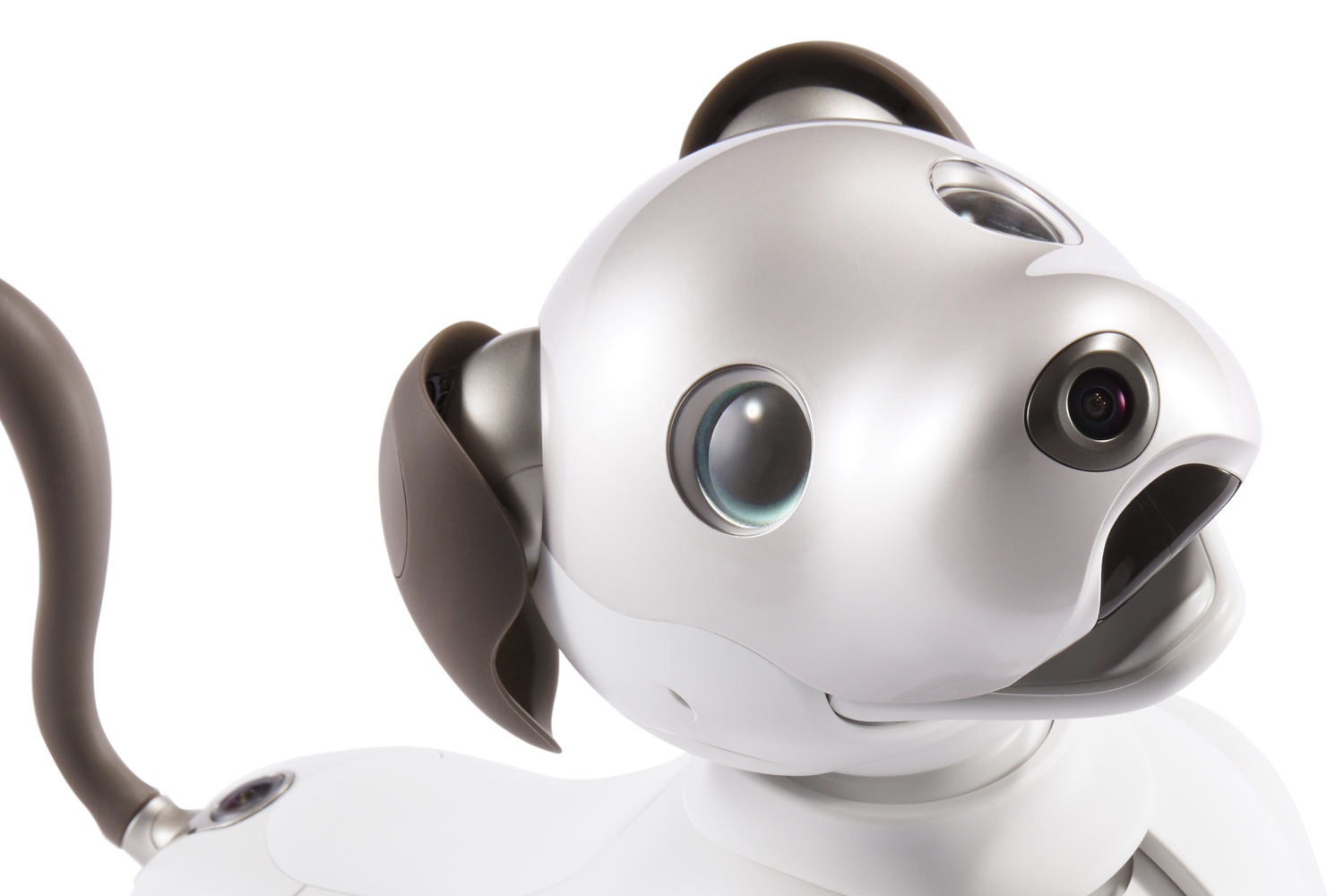 aiboとリアルに会える『aiboキャラバン2021』熊本＆横浜開催 (2021年10月25日) - エキサイトニュース