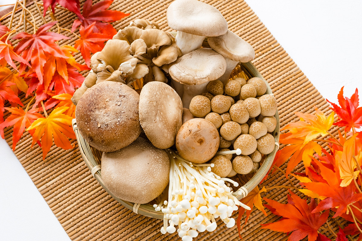 旬だから安くておいしい「きのこ」の“大病を防ぐ！”6大健康パワーを総ざらい (2022年10月26日) - エキサイトニュース