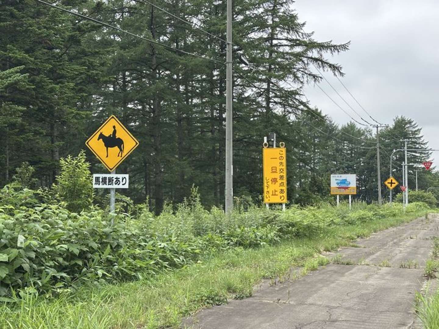 「さすが北海道」としか言えない 同じ場所に立つ〝横断注意看板〟2種に1.7万人驚がく「野生のおるんやな」 (2025年7月17日 ...