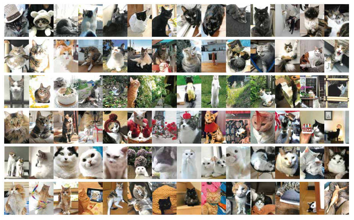 毎年恒例の可愛い猫の写真の一般公募展「大佛次郎×ねこ写真展」が2025年も開催 - エキサイトニュース