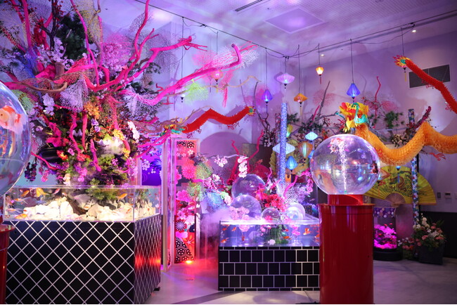 期間限定アクアリウム 「くらしき金魚ミュージアム～龍と金魚のものがたり」 が本日オープン！幻想的な金魚アートの世界が倉敷に登場 (2024年7月11日) - エキサイトニュース