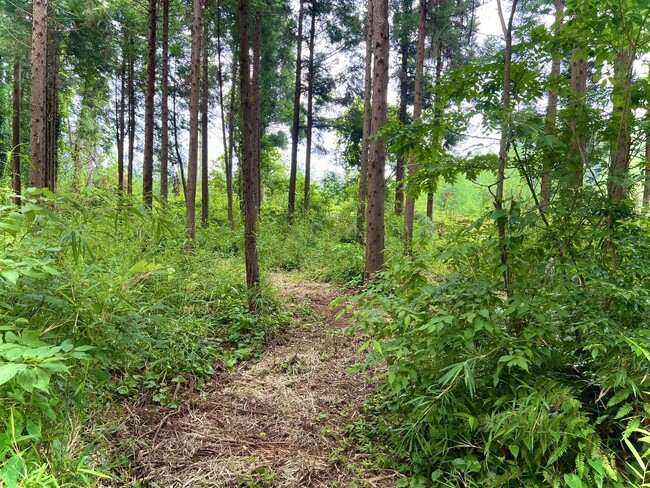 ついに誕生！待ち望まれたあのエリアが再び動き出す。【forenta-CHIBA】富田キャンプエリア新区画！ (2025年7月11日) - エキサイトニュース