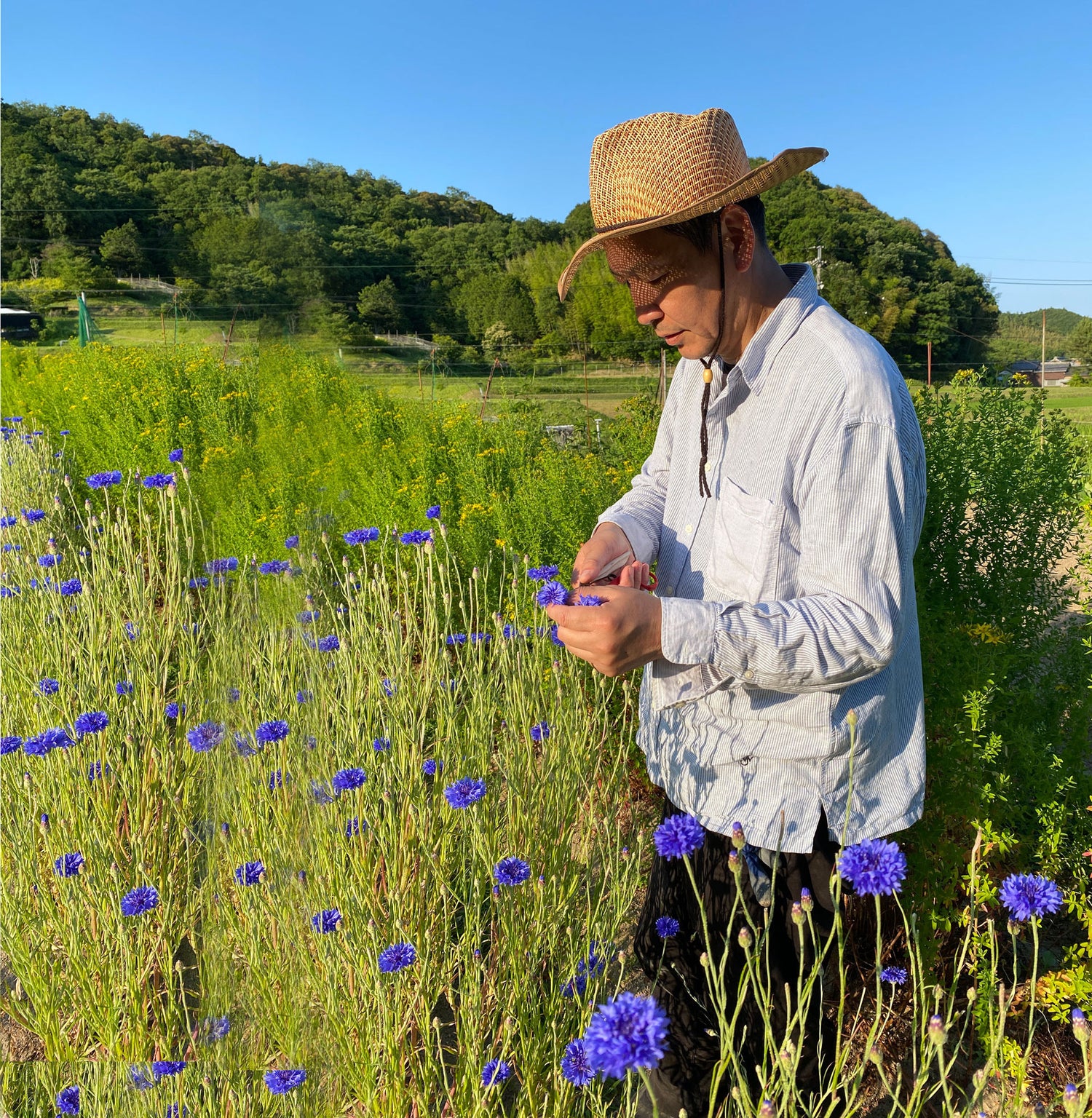 自身のメンタルの不調から生まれたハーブティー ブランドROEROE｜ロロ の薬草店。創業者セタユウジが語るブランド立ち上げまでの道のりと ...