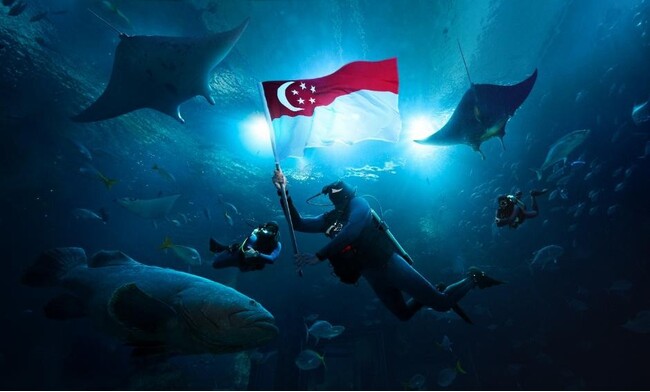 リゾート・ワールド・セントーサのシンガポール・オーシャナリウムのチケットが販売開始に伴い、新しい体験を紹介 (2025年7月29日 ...