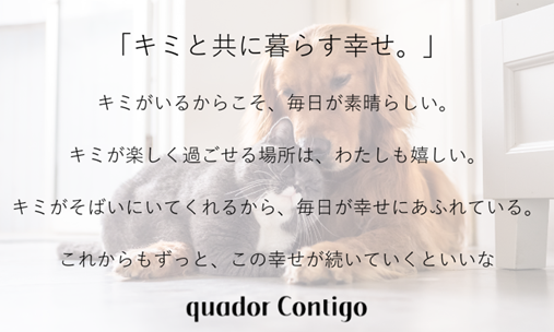 quadorシリーズからペットと一緒に暮らす派生ブランド「quador Contigo」プロジェクト始動！ (2024年10月24日 ...