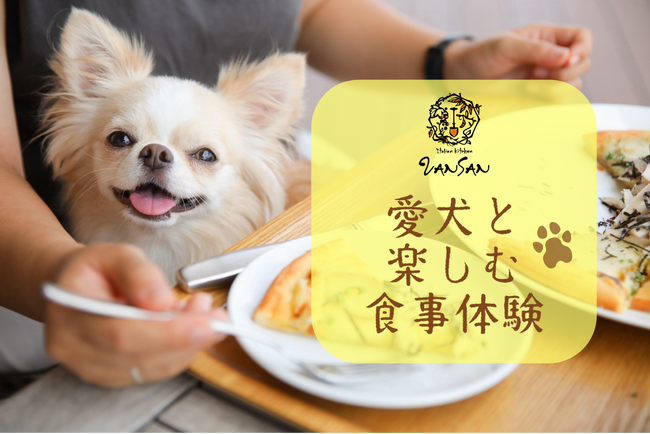 Italian Kitchen VANSAN で愛犬とのペットフレンドリーな食事体験を！2024年2月3日(土)より 25店舗でワンちゃん用メニューが登場！ (2024年2月1日 ...