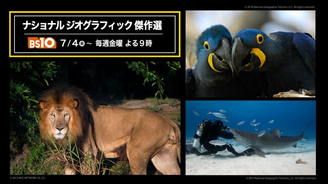 「ナショナル ジオグラフィック傑作選」BS10で7/4(金)～毎週金曜よる9時に無料放送！ (2025年7月1日) - エキサイトニュース