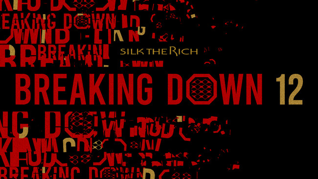 『SILK THE RICH presents BreakingDown 12』チケット販売が2024年5月5日（日）12:00にスタート！ (2024年4月30日) - エキサイトニュース
