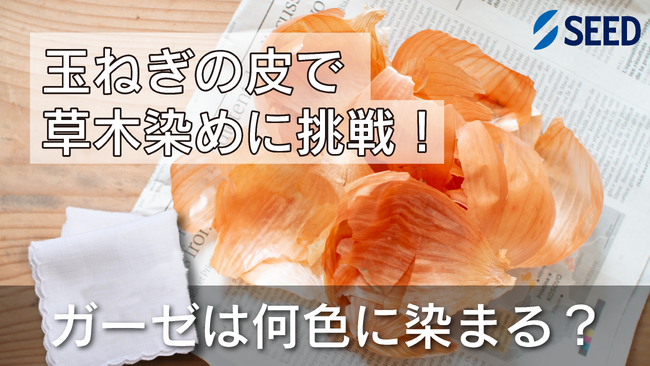 シード社員による子ども向け理科実験教室「草木染めに挑戦してみよう！」7月11日（金）YouTubeにて配信スタート (2025年7月14日) - エキサイトニュース