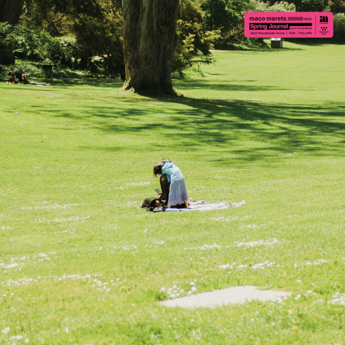 maco marets、連続配信シングル第4弾「Spring Journal」リリース＆MV公開｜Taisuke Miyata、浮らが参加 ...