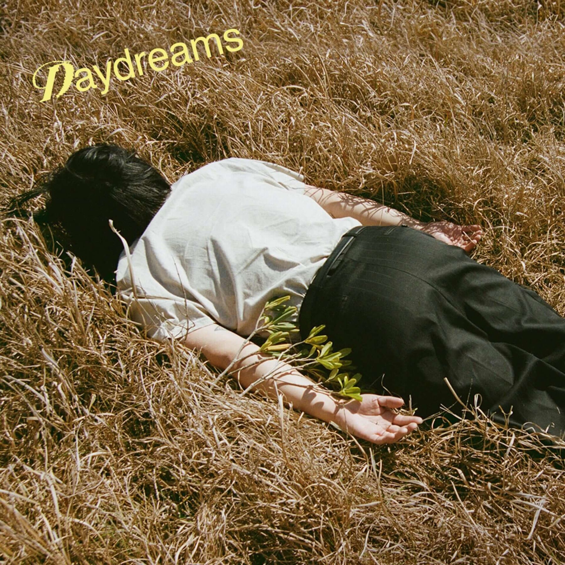 Michael Kaneko、3rdアルバム『Daydreams』を5月29日（水）にリリース｜2CD限定版には昨年の渋谷・WWWXでのワンマンライブの音源を収録 (2024年4月5日 ...