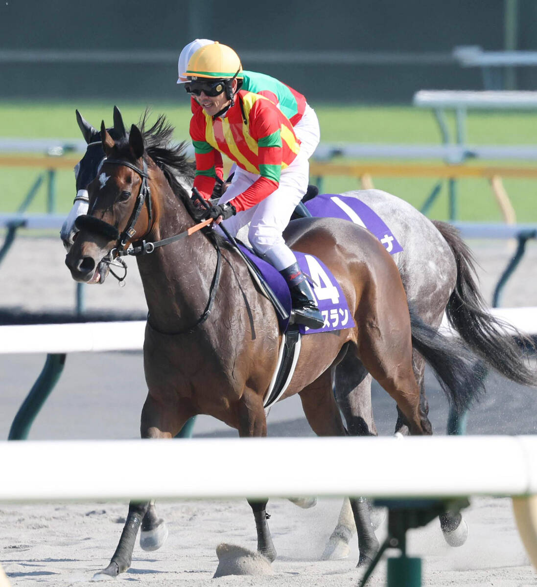 【ヴィクトリアM】エフフォーリアの全妹ジョスランは8着 G1・2度目の挑戦で結果残せず - エキサイトニュース