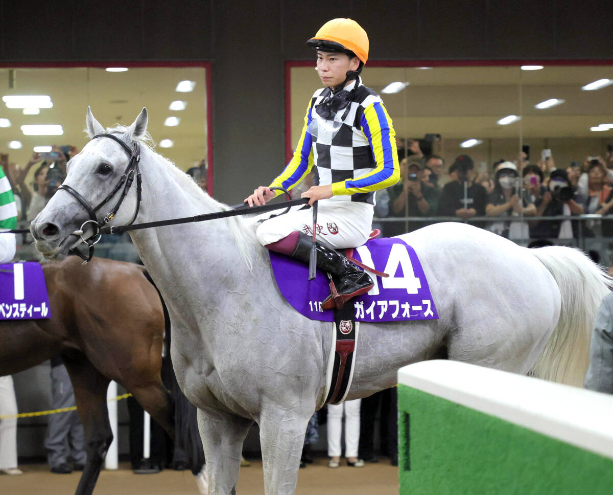 【安田記念】12度目も…1番人気ガイアフォースは写真判定の末、首差2着 G1タイトルにあと一歩届かず - エキサイトニュース