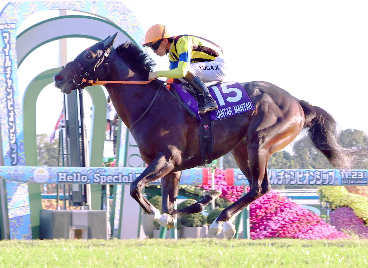 【マイルCS】ジャンタルマンタルがマイル界完全制圧！「朝日杯FS」「NHKマイルC」「安田記念」と史上初めて牡馬出走可能な国内芝マイルG1・4競走V (2025年11月24日) - エキサイトニュース