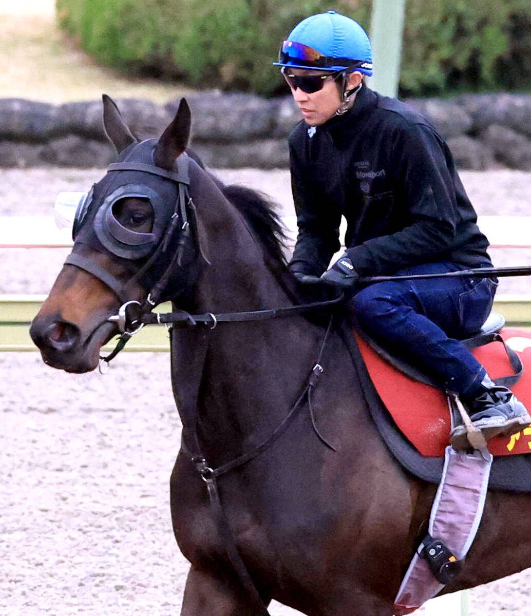 【G1・1週前まとめ】母子制覇を狙う良血アランカール、武豊を背にスピード感抜群の走り「状態は良さそうですね」 オークス - エキサイトニュース