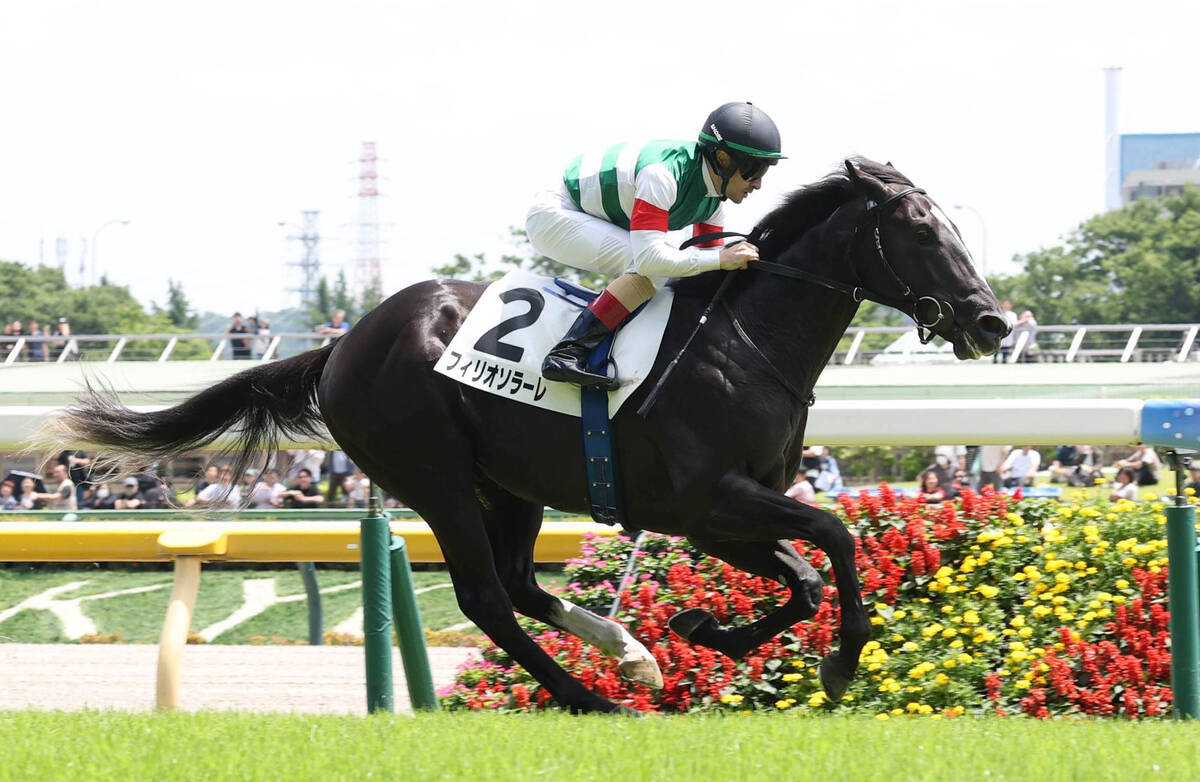 【東京5R・2歳新馬】圧倒的1番人気に応えフィリオソラーレが快勝 ルメール騎手も「未来が楽しみ」と絶賛 - エキサイトニュース
