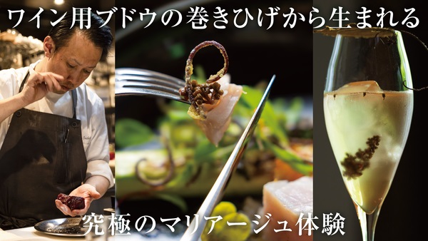 ブドウの巻きひげを活用した食品を開発する「Crrit」が、クラファンに挑戦！ (2024年8月26日) - エキサイトニュース