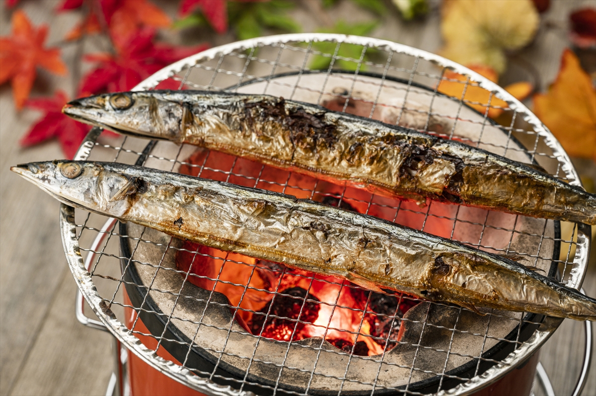 【6年ぶりに“さんま炭火焼き”復活】札幌・北海道庁赤れんが庁舎で「まるごと根室直送市」開催！ (2025年10月1日) - エキサイトニュース