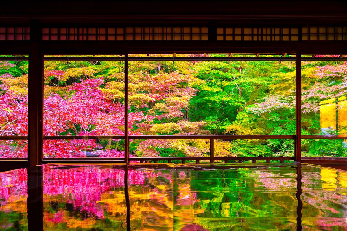 【地元タクシー運転手が教える未発見の京都】TikTok×老舗タクシー会社がタッグを組んだ15言語対応の京都情報アカウント「UNOFFICIAL TOURISM」 (2025年4月3日 ...