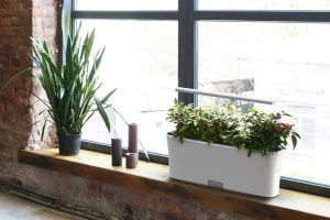 スマート屋内ガーデン「Botanium Vega」はコンパクトでお手頃価格！ (2020年5月9日) - エキサイトニュース