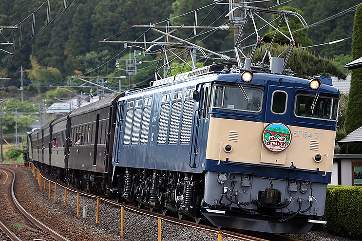 クイズ：EF64 37 (2021年11月17日) - エキサイトニュース