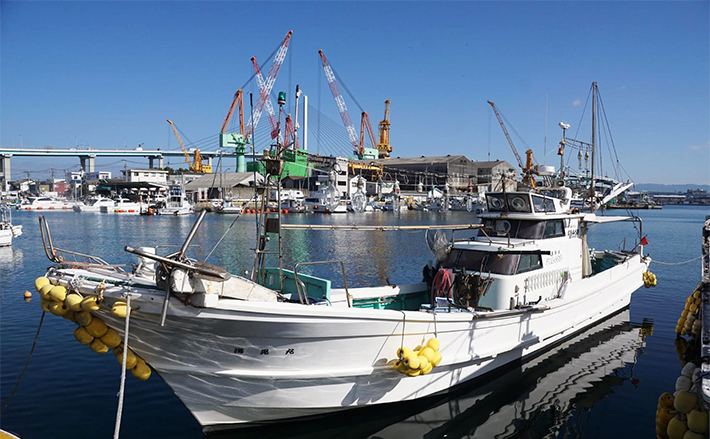 秋から冬にかけて玄界灘でのヒラマサ＆ブリ狙いなら【海晃丸】にお任せ (2023年10月24日) - エキサイトニュース