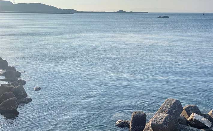 大阪湾の人気釣り場『深日港』を紹介 遠浅の地形ゆえルアーウェイトにはご注意を (2024年10月9日) - エキサイトニュース