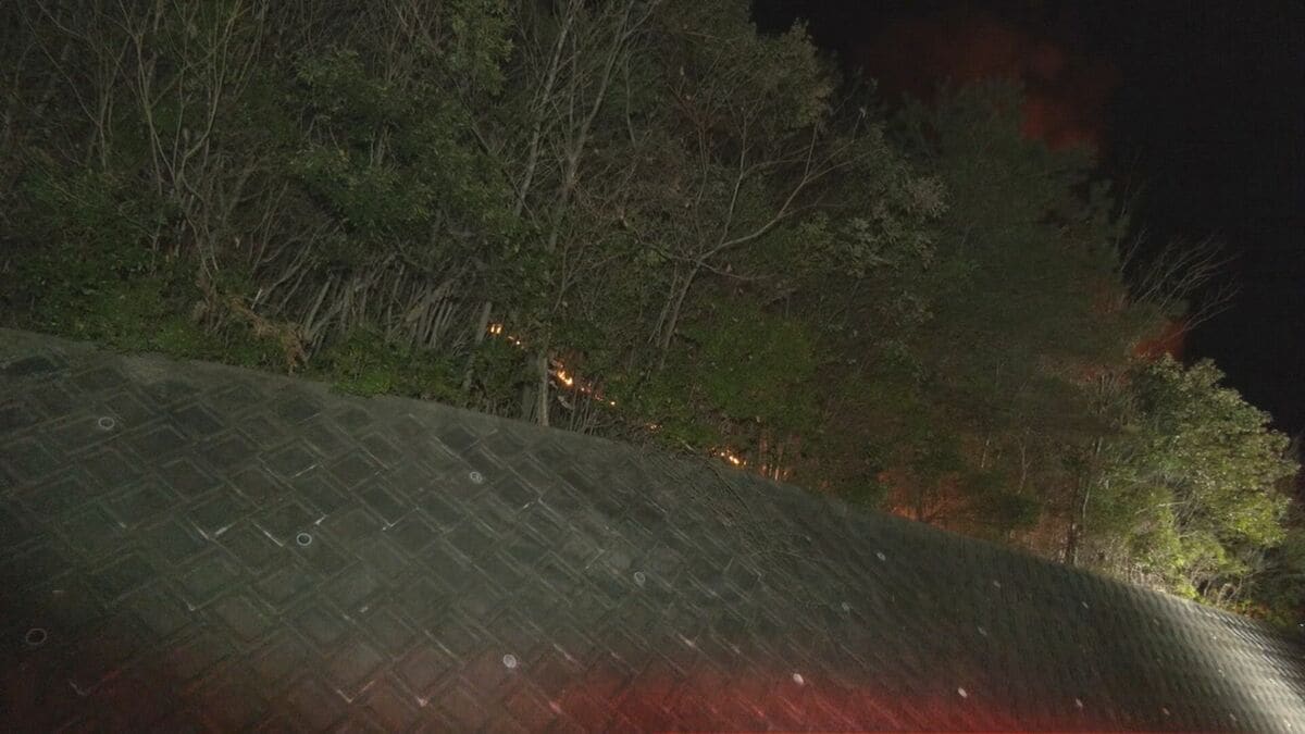 「山で炎が上がっている」愛知・岡崎市の産業廃棄物を扱う工場で火事 火は山林にも広がる 鎮圧は通報から約7時間後 (2026年1月13日 ...