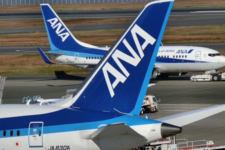 ANAホールディングス＜9202＞、日本郵船＜9101＞傘下の日本貨物航空を子会社化へ (2023年3月7日) - エキサイトニュース