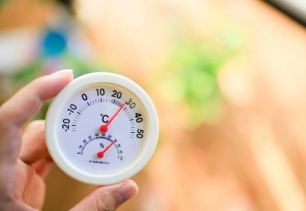 生活する上で快適な湿度知ってる？｜ウーマンエキサイト